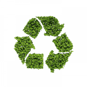 Về GREEN-LIFE - GREENLIFE Vietnam